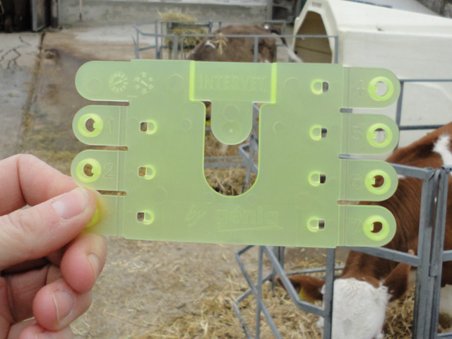 lw-heute.de – Kryptosporidien-Durchfall bei Kälbern bekämpfen ...