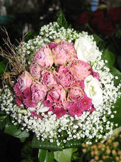 lw-heute.de – Rosen mit Schleierkraut | Rosen mit Schleierkraut