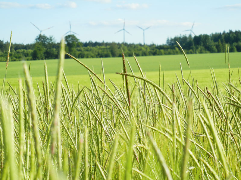 lw-heute.de – Der milde Winter erfordert frühe Maßnahmen | Der milde ...