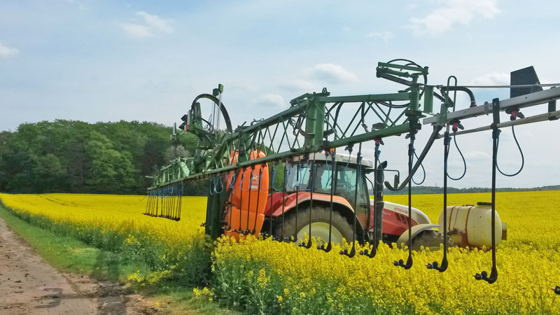 lw-heute.de – Rapskrebs-Bekämpfung zur rechten Zeit | Rapskrebs ...