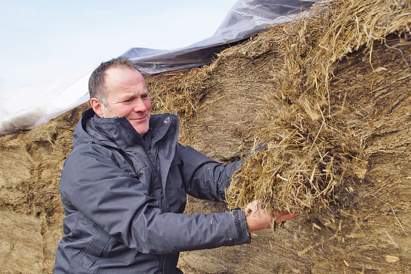 lw-heute.de – „Nach 24 Stunden ist das Gras im Silo“ | „Nach 24 Stunden ...