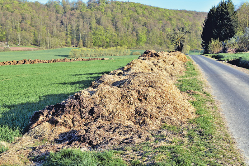 lw-heute.de – Bei Mist-Lagerung im Feld Sechs-Monate-Frist beachten ...