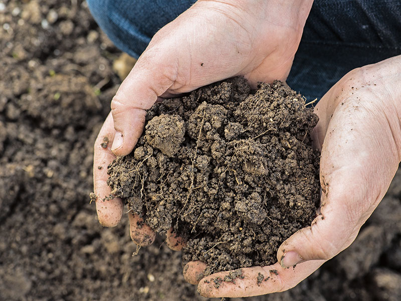 lw-heute.de – Startschuss für das Projekt „Humus+“ | Startschuss für ...