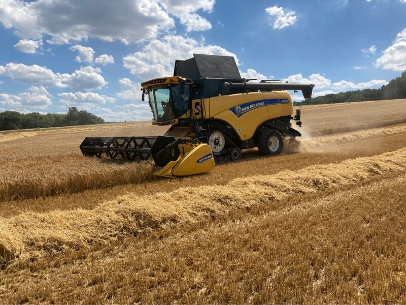 lw-heute.de – Die Sommerbraugerste in Herbstaussaat ist gedroschen ...