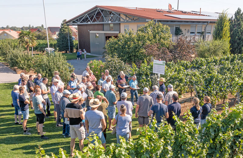 lw-heute.de – BASF-Weinbautage in Forst bestens besucht | BASF ...