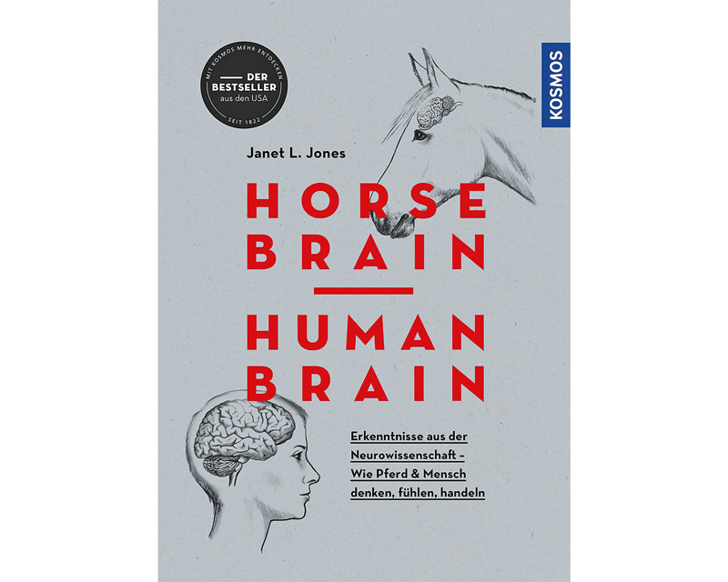 lw-heute.de – Horse Brain - Human Brain | Horse Brain - Human Brain